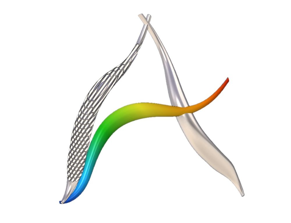 AYDONIE – DECA-BFC